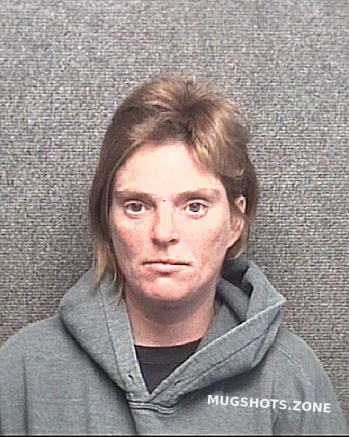 OLINGER ALISA 04/17/2023 - Horry County Mugshots Zone