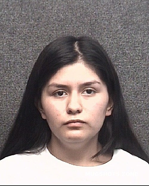 TORRES ALONZO HANNY 04/18/2023 - Horry County Mugshots Zone