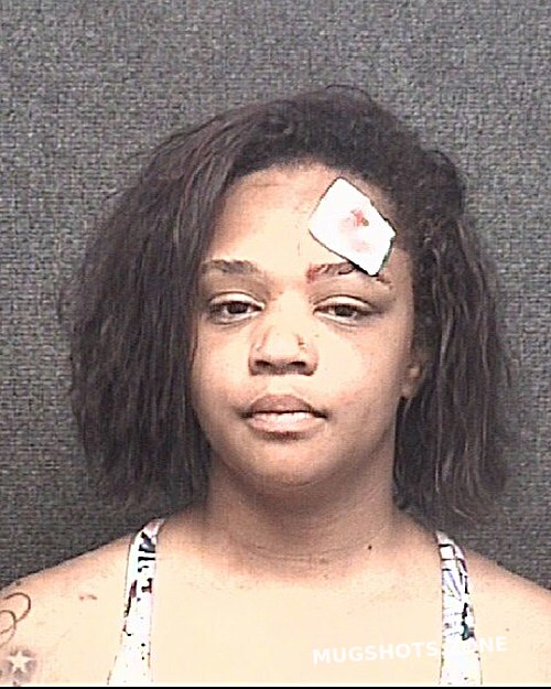 FRAZIER BRANDI A 06/19/2023 - Horry County Mugshots Zone