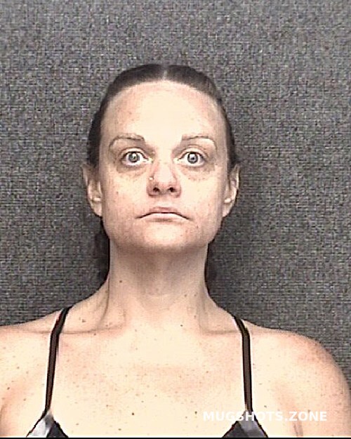 HAMILTON AMANDA 06/29/2023 - Horry County Mugshots Zone