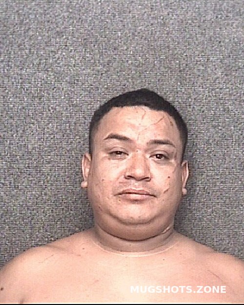 MORALES MORALES RENE PATRICIO 07/07/2023 - Horry County Mugshots Zone
