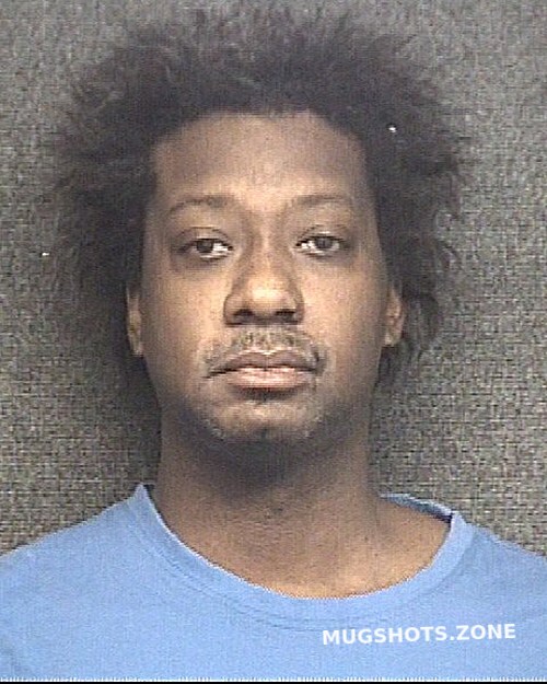 DAVIS NATHANIEL FITZGERALD 07/25/2023 - Horry County Mugshots Zone