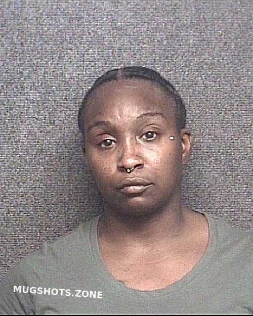 Mason Elaine 08 02 2023 Horry County Mugshots Zone