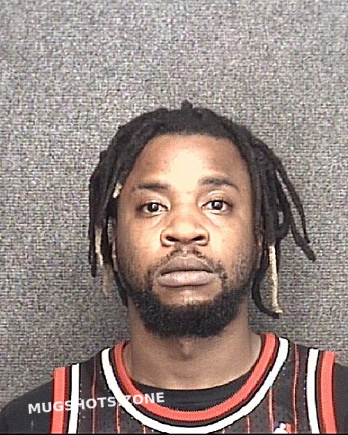 BEST RAYNALDO LIZELL 09/24/2023 - Horry County Mugshots Zone
