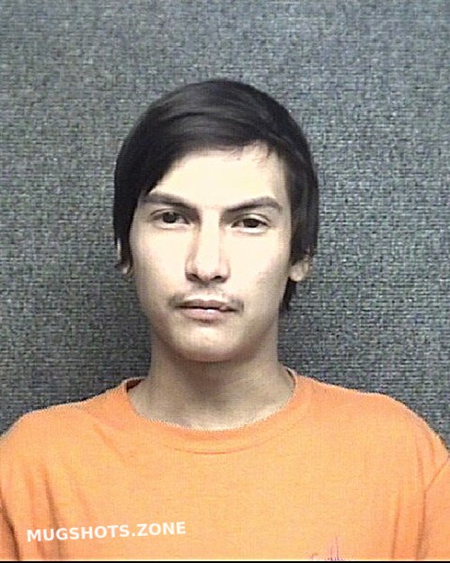NEWMAN RAIN NIKOM 10/21/2023 - Horry County Mugshots Zone