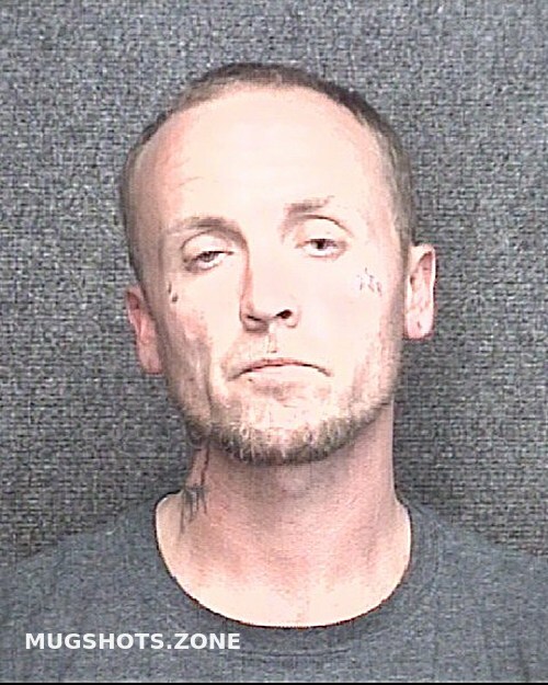 CHANDLER AARON ONEIL 11/15/2023 - Horry County Mugshots Zone