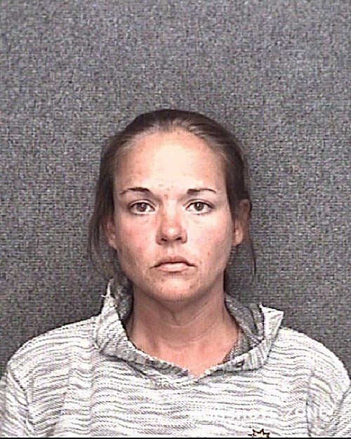 MORTON ERIN VIRGINIA 11/15/2023 - Horry County Mugshots Zone MORTON ERIN VIRGINIA 11/15/2023 - Horry County Mugshots Zone