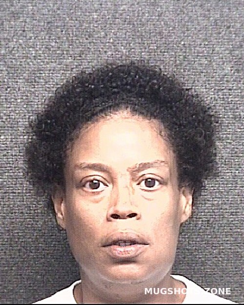 JOHNSON NATASHA CHERI 11/21/2023 - Horry County Mugshots Zone