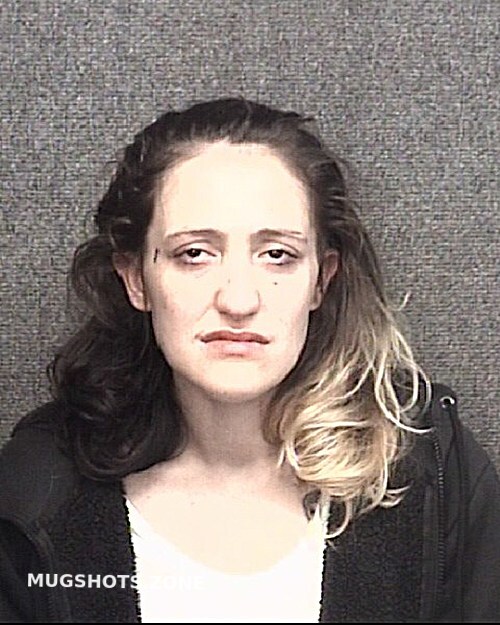 WILSON CHELSEA SHIANNE 01/25/2024 - Horry County Mugshots Zone