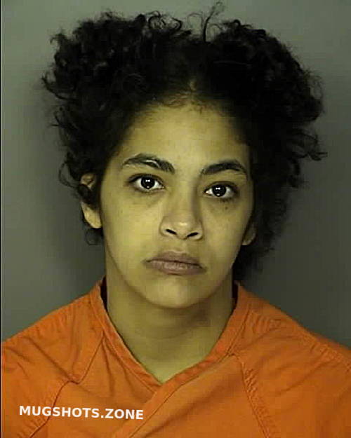 HUNT KAITLYN RUTH 02/12/2024 - Horry County Mugshots Zone