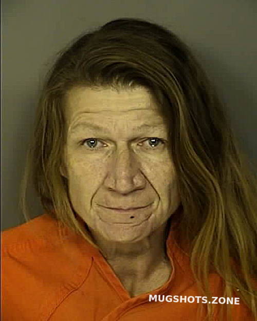 BEASLEY CONNIE DIANE 02/13/2024 - Horry County Mugshots Zone