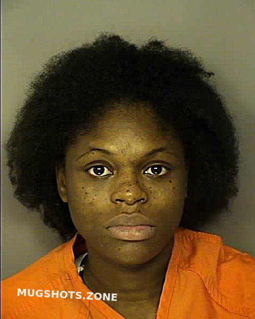 HUTSON LYDIA MICHAEL 02/19/2024 - Horry County Mugshots Zone