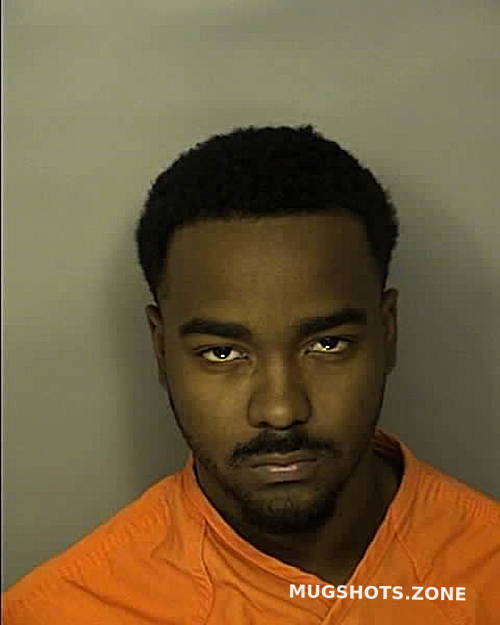 CHESTNUT JAYLEN NICHOLAS 02/21/2024 - Horry County Mugshots Zone