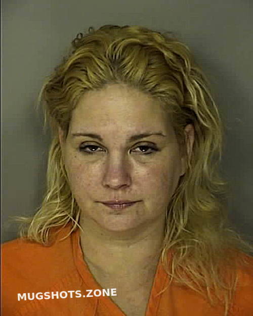 SIMMONS LACY RAE 02/27/2024 - Horry County Mugshots Zone