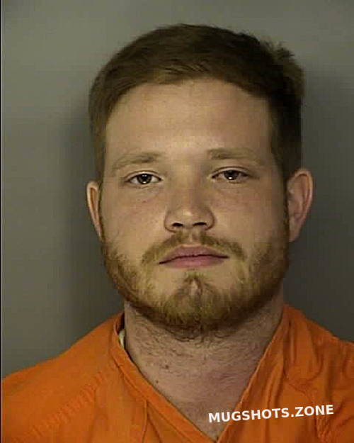 KING NATHAN TYLER 02/29/2024 - Horry County Mugshots Zone