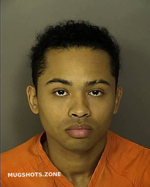 MARTIN FRANKLIN TERRANCE 02/29/2024 - Horry County Mugshots Zone