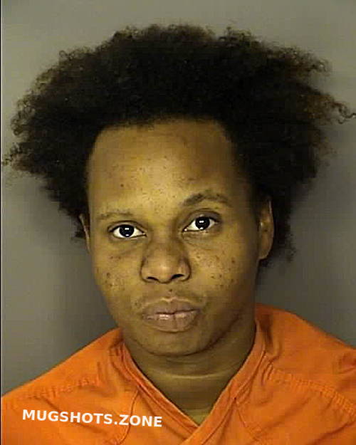 BRYANT DEDRIANA RUBY 03/02/2024 - Horry County Mugshots Zone