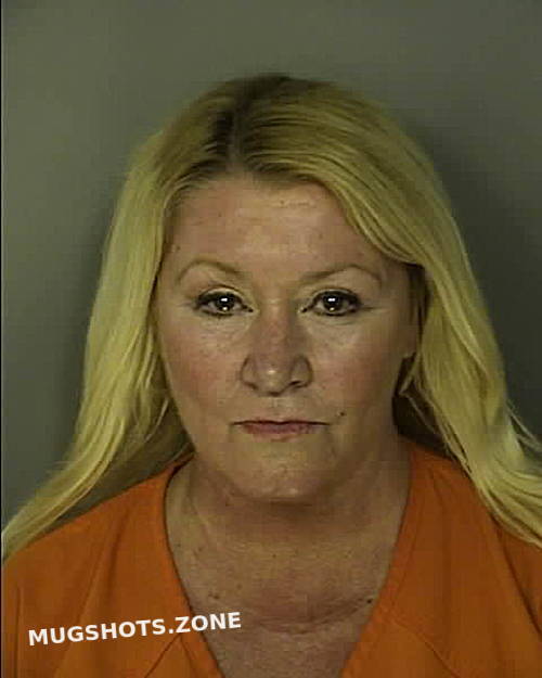 PARKS HOPE BROWN 03/06/2024 - Horry County Mugshots Zone