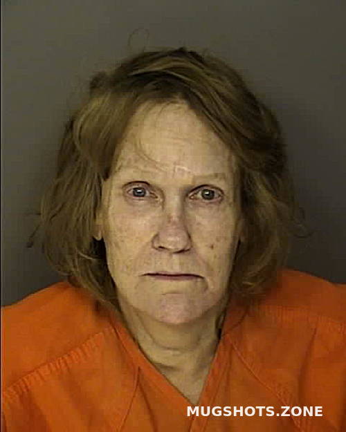 PRIEBE LISA KAY 03/11/2024 - Horry County Mugshots Zone