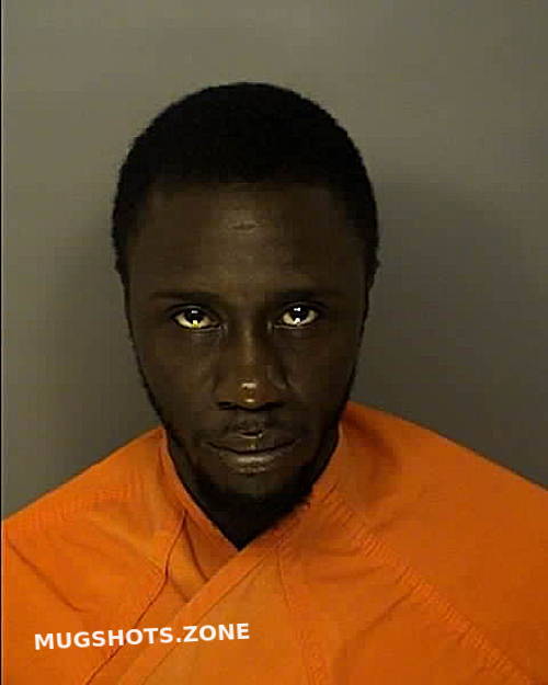 MYERS PAUL RAY 03/12/2024 - Horry County Mugshots Zone