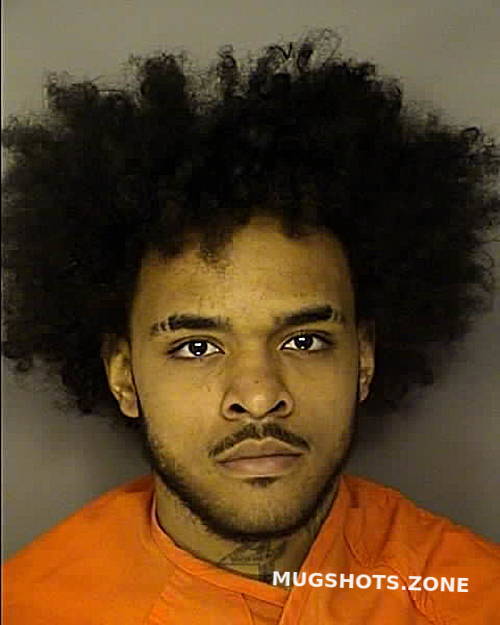 INGRAM JAYLEN MIKEL 03/14/2024 - Horry County Mugshots Zone