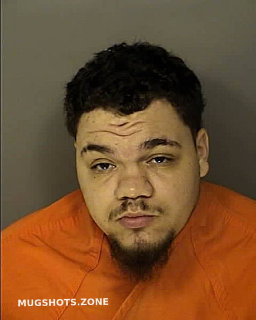 LOCKLEAR LEEGRAINT 03/17/2024 - Horry County Mugshots Zone