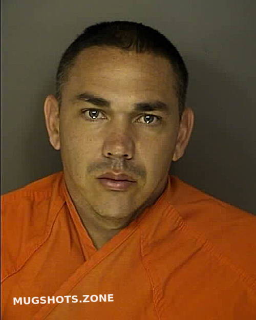 TALMADGE DAVID SHAWN 03/17/2024 - Horry County Mugshots Zone