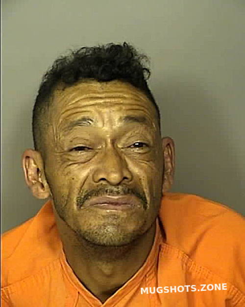 ANTUNEZ FAUSTO 03/21/2024 - Horry County Mugshots Zone