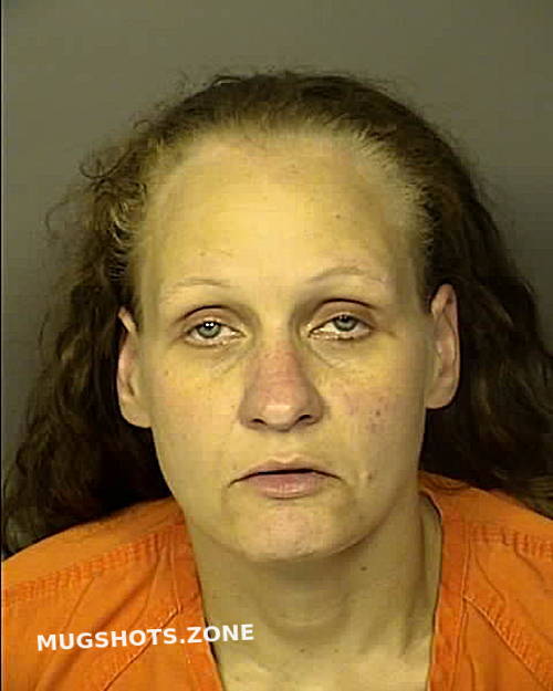 COOK DEBRA MARIE 03/28/2024 - Horry County Mugshots Zone
