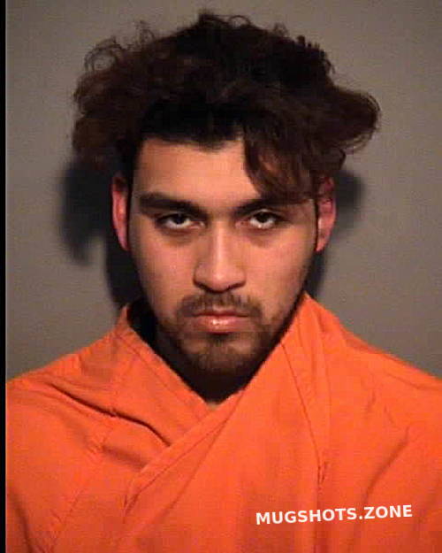 ROMAN HECTOR ENRIQUE 03/29/2024 - Horry County Mugshots Zone