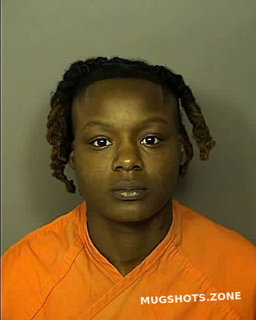Williams Timazia 03 31 2024 Horry County Mugshots Zone