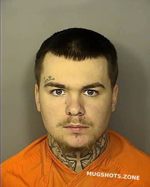 Tafta Noah David 04 02 2024 Horry County Mugshots Zone