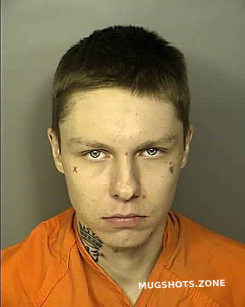 Webster Christian Alexander 04 12 2024 Horry County Mugshots Zone