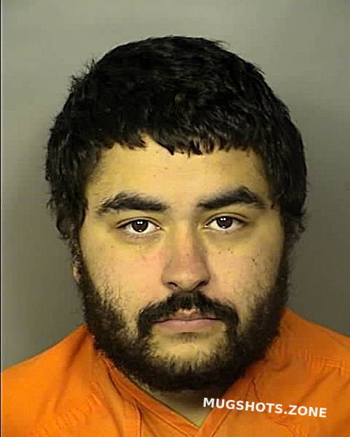 JOHNSON MICHAEL JOSEPH 04/16/2024 - Horry County Mugshots Zone