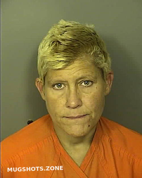ENGLISH AMANDA SUGGS 04/17/2024 - Horry County Mugshots Zone