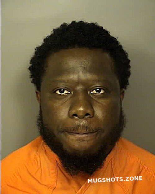 BRUNSON JERRELL TRAVIS 04/18/2024 - Horry County Mugshots Zone