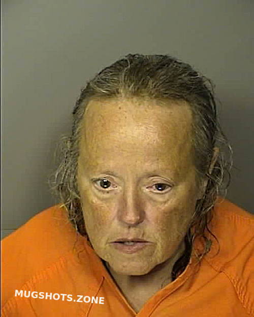 HARDING JEANETTE MARIE 04/21/2024 - Horry County Mugshots Zone