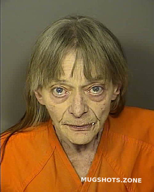 HAZLETT WANDA 04/22/2024 - Horry County Mugshots Zone