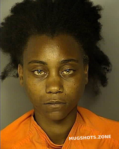 BROMELL SCHELCEY ALIA 04/24/2024 - Horry County Mugshots Zone