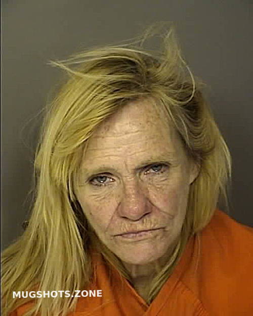 BANCS JUDITH GLADYS 04/24/2024 - Horry County Mugshots Zone