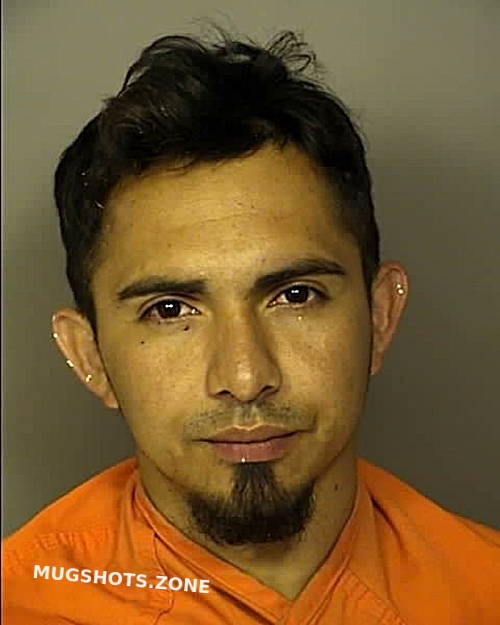 ERAZO SAMUEL LOPEZ 04/24/2024 - Horry County Mugshots Zone