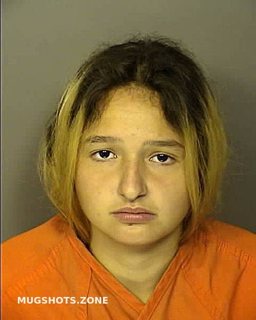 Gardner Alexus 04 25 2024 Horry County Mugshots Zone
