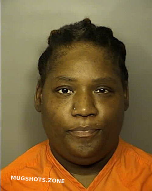 JOHNSON JENNIFER RENEE 05/06/2024 - Horry County Mugshots Zone