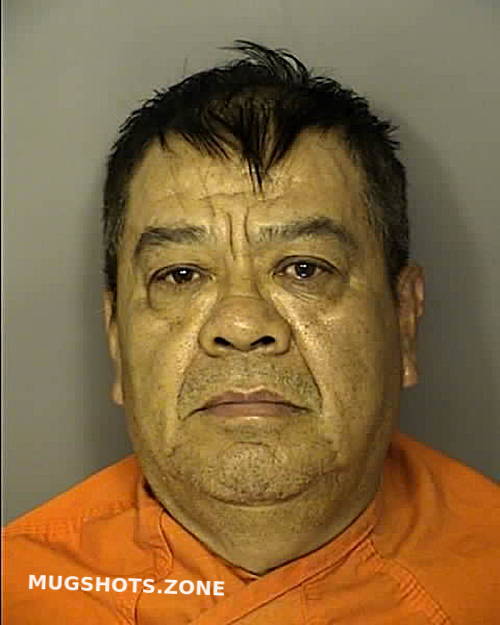 Luna Castro Jorge 05082024 Horry County Mugshots Zone