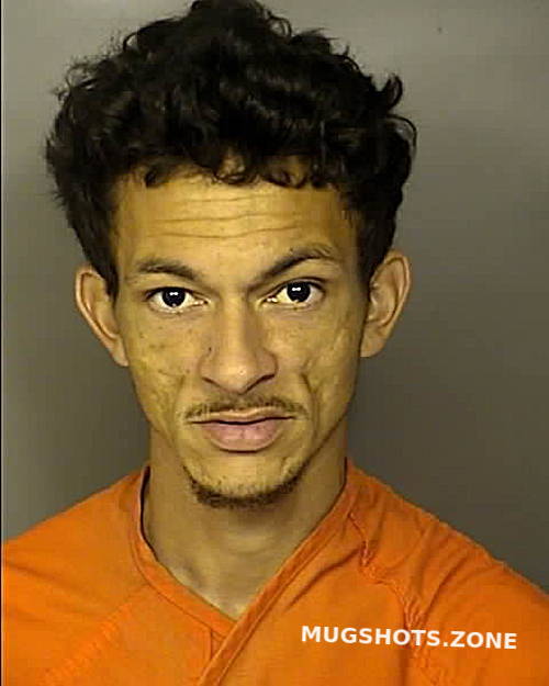 JONES DONAVAN ELLIOT 05/09/2024 - Horry County Mugshots Zone