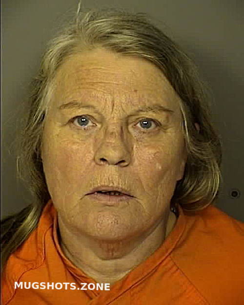 WALTERS SHEILA RENEE 05/19/2024 - Horry County Mugshots Zone