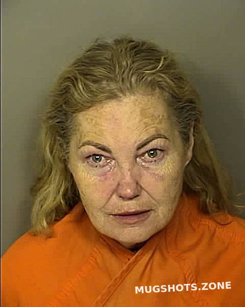 BACKUS JUDY LYNN 05/25/2024 - Horry County Mugshots Zone