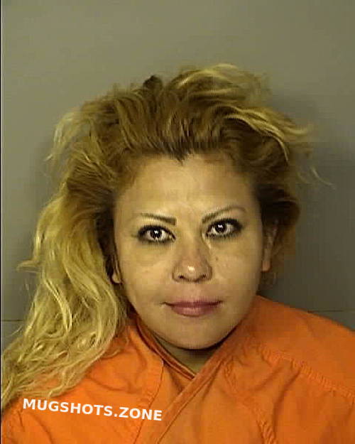 PERAZA ZALDIVAR REYNA JACQUELINE 05/25/2024 - Horry County Mugshots Zone