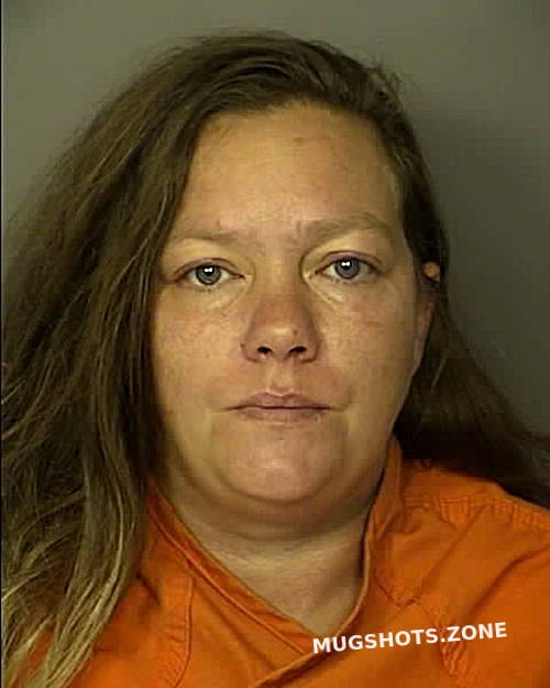 NOVAK CRYSTAL VIOLET 05/27/2024 - Horry County Mugshots Zone