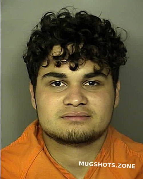HERNANDEZ-MEJIA IKER JOSUE 06/02/2024 - Horry County Mugshots Zone